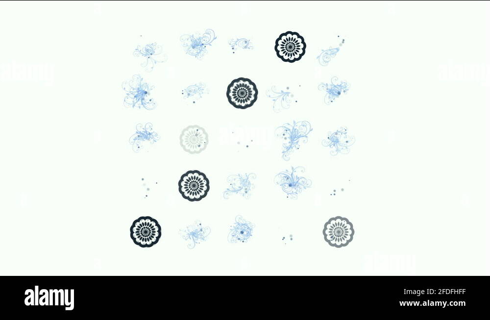 Leaf petal pattern Stock Videos & Footage - HD and 4K Video Clips - Alamy