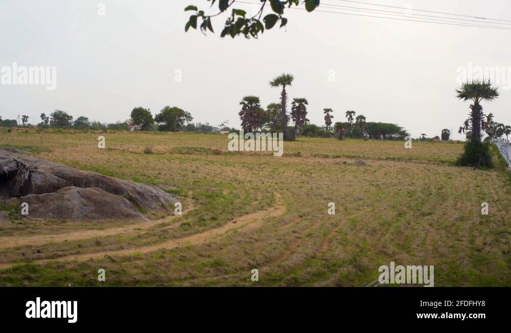 Dry farm land india Stock Videos & Footage - HD and 4K Video Clips - Alamy