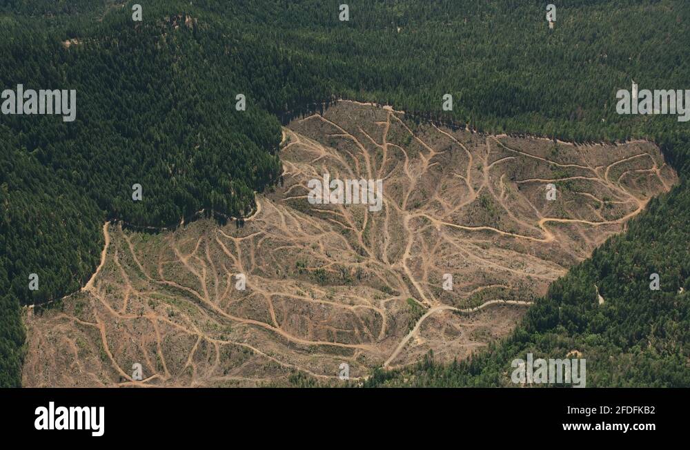 Logging roads Stock Videos & Footage - HD and 4K Video Clips - Alamy