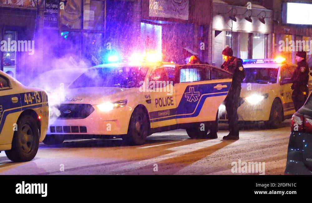 Police officers chatting with suspect in the back of a police car Stock ...