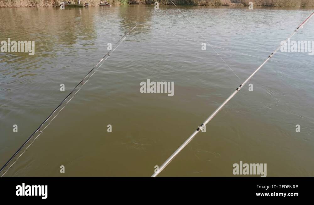 Lucky rods Stock Videos & Footage - HD and 4K Video Clips - Alamy