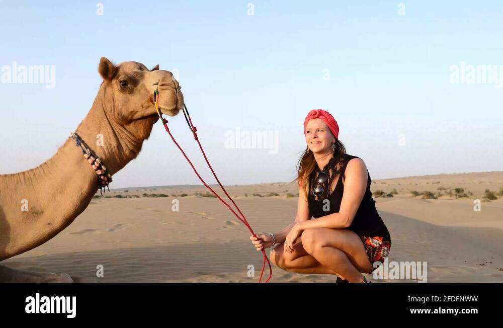 Thar desert safari Stock Videos & Footage - HD and 4K Video Clips - Alamy