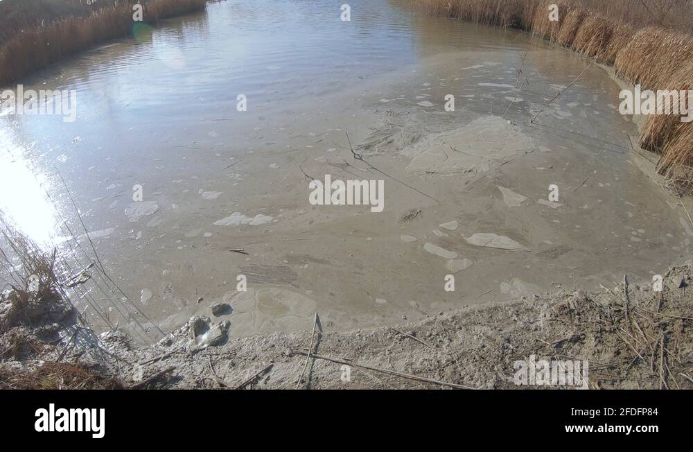 Cyanide pond Stock Videos & Footage - HD and 4K Video Clips - Alamy
