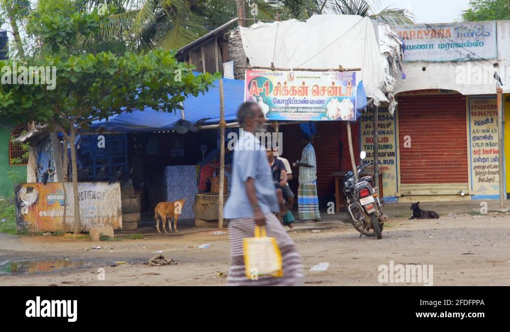 Indian cow disease Stock Videos & Footage - HD and 4K Video Clips - Alamy
