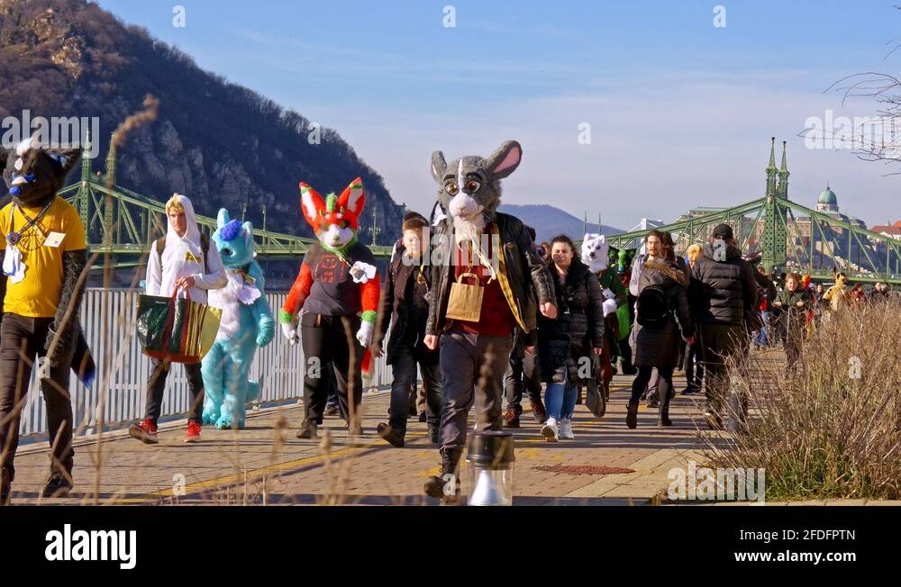 People dressed as in an animal costume called as furry walking on the ...