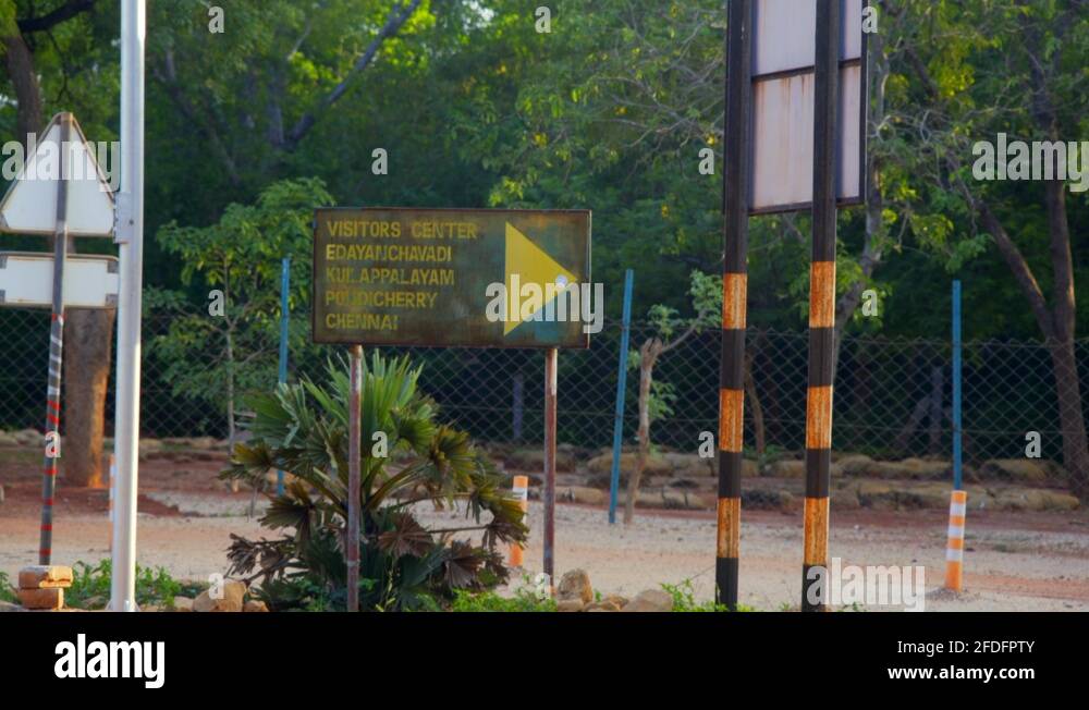 Madras sign Stock Videos & Footage - HD and 4K Video Clips - Alamy