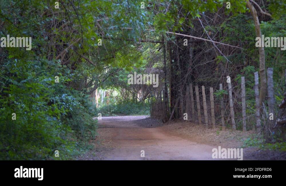 Path and road in the city Stock Videos & Footage - HD and 4K Video ...