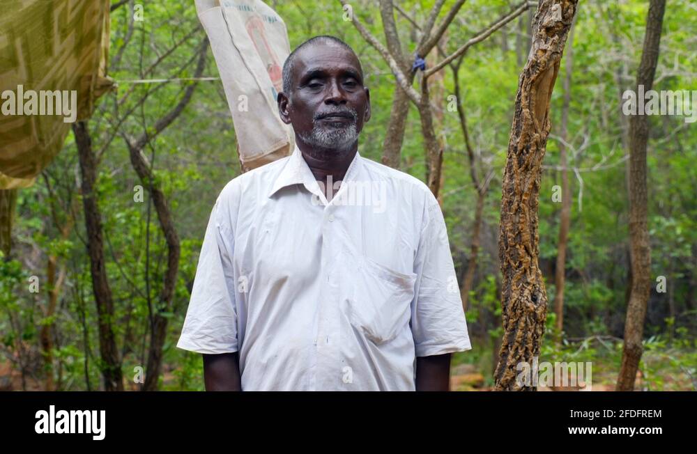 Forest man of india Stock Videos & Footage - HD and 4K Video Clips - Alamy