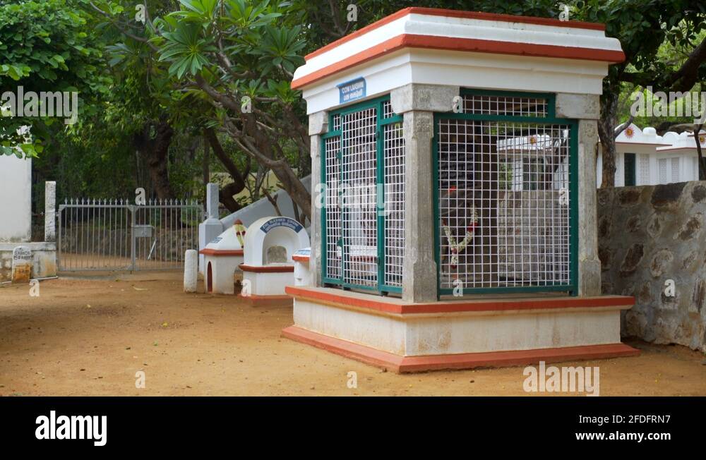 Cow Lakshmi grave, holy enlightened animal, Sri Ramana Maharshi Ashram ...