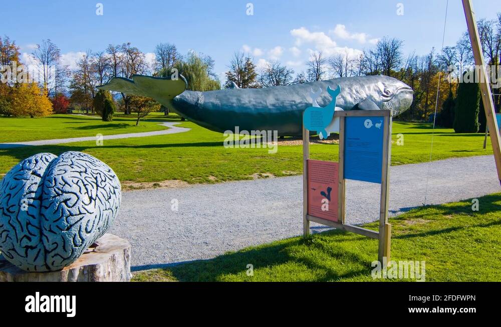 Whale stone Stock Videos & Footage - HD and 4K Video Clips - Alamy
