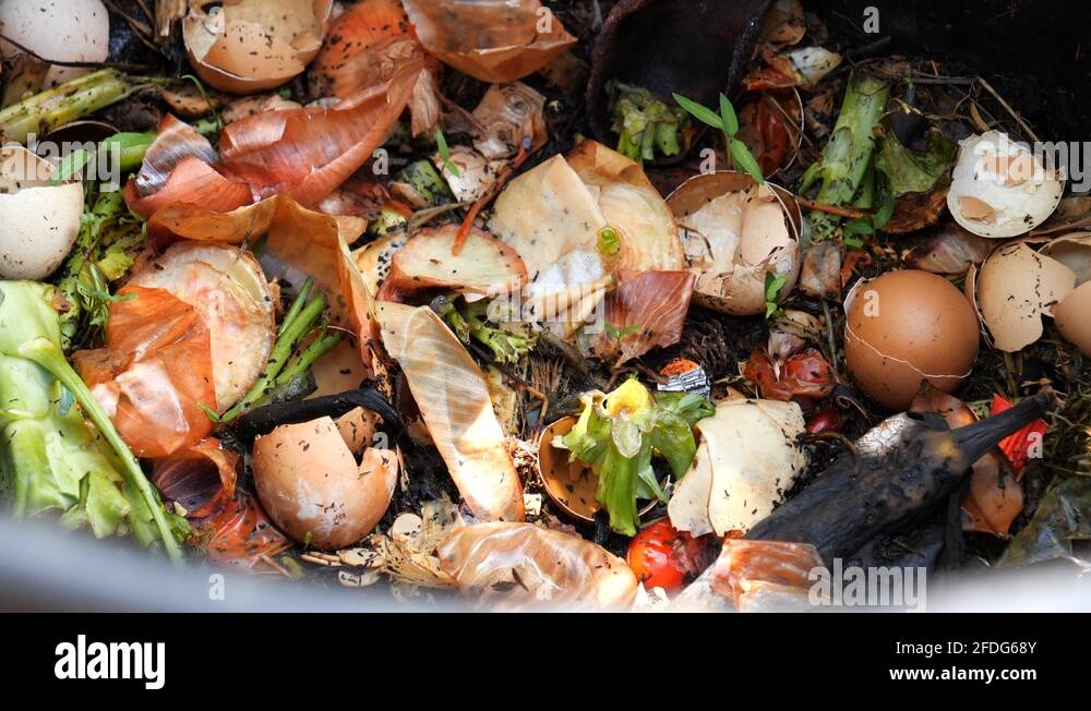 Food compost bin Stock Videos & Footage - HD and 4K Video Clips - Alamy