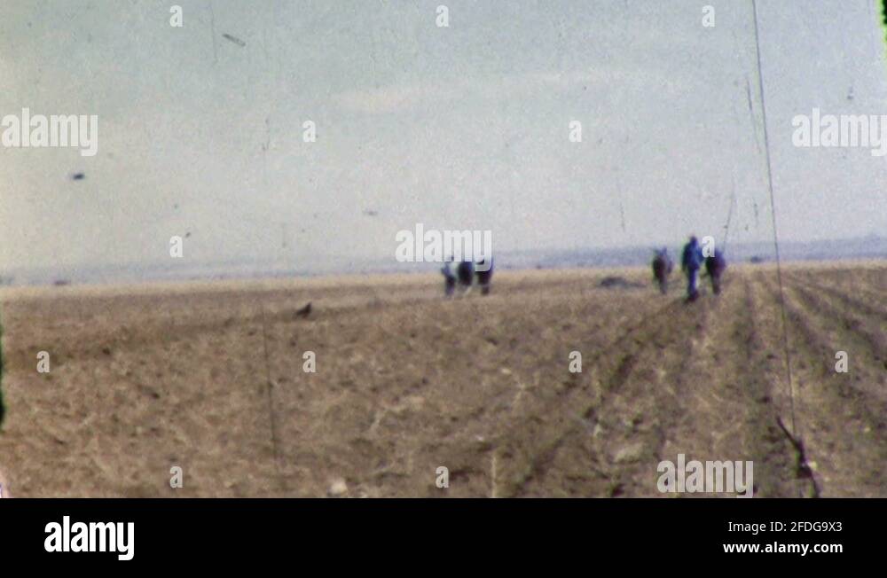 AGRICULTURE Mexican Farmers Sowing CROP 1940s (Vintage Film Home Movie ...