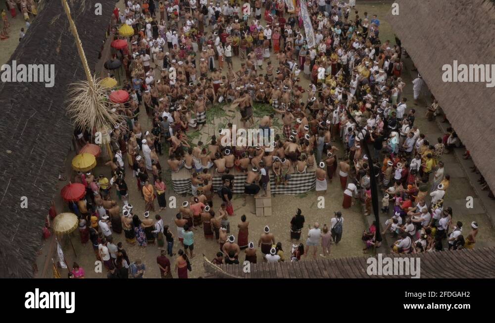 Pandan war ceremony Stock Videos & Footage - HD and 4K Video Clips - Alamy