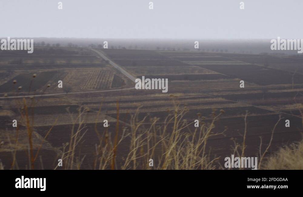 Farming symbolism Stock Videos & Footage - HD and 4K Video Clips - Alamy