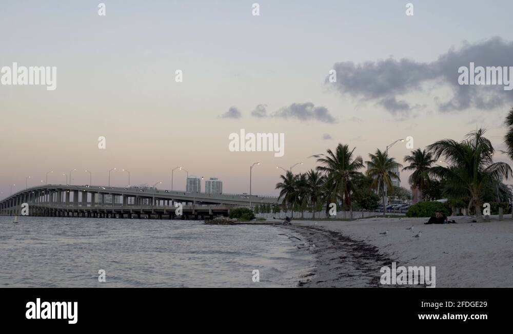Miami view downtown Stock Videos & Footage - HD and 4K Video Clips - Alamy