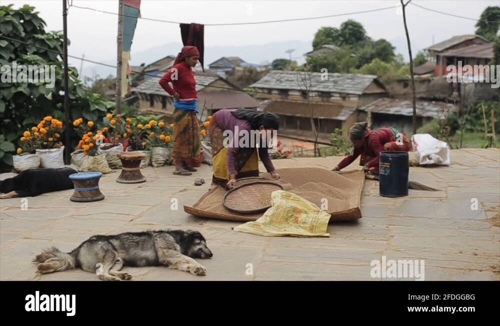 Nepalese labor Stock Videos & Footage - HD and 4K Video Clips - Alamy