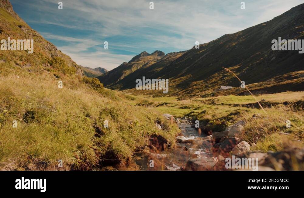 Green heaven Stock Videos & Footage - HD and 4K Video Clips - Alamy