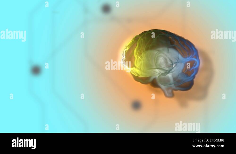 High-functioning brain processing information inside a transparent ...