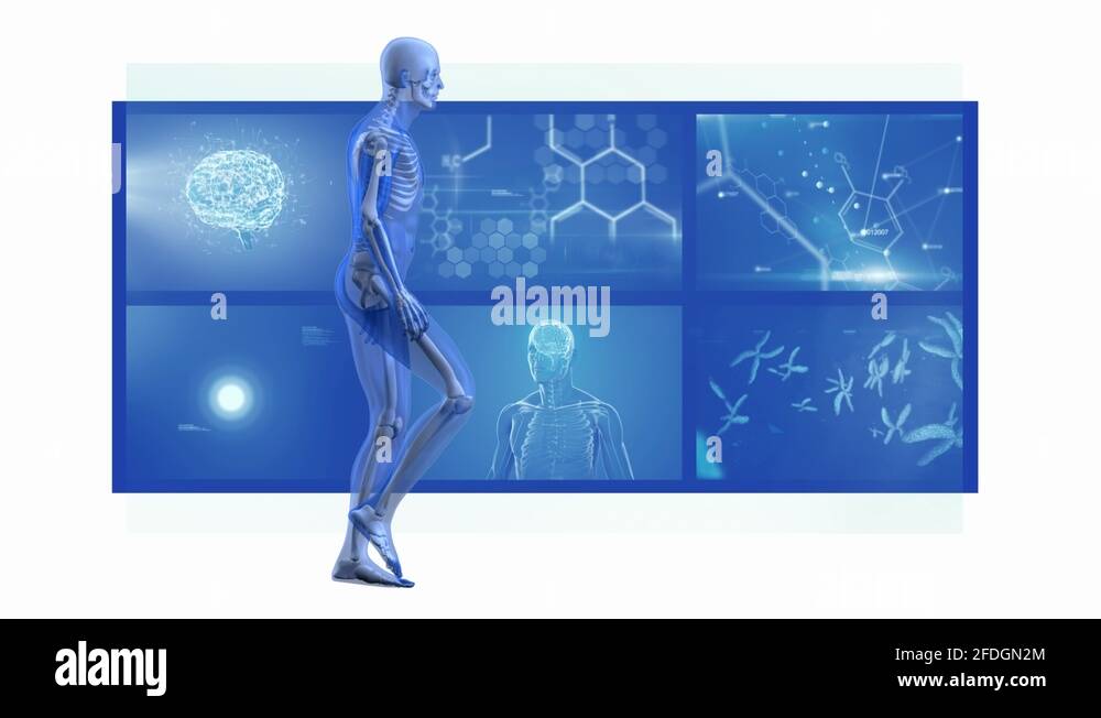 Animation of human model walking man with MRI scan screens Stock Video ...