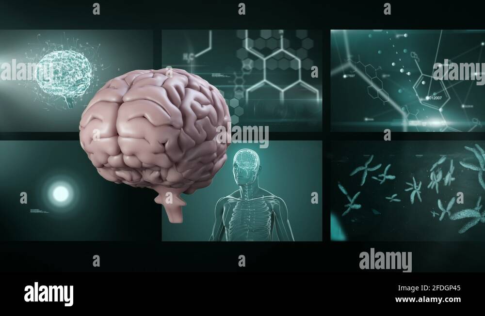 Animation of 3D rotating brain with scientist screens Stock Video ...