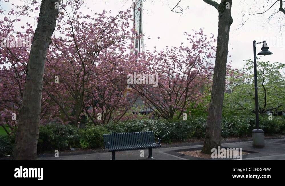 Needle park Stock Videos & Footage - HD and 4K Video Clips - Alamy