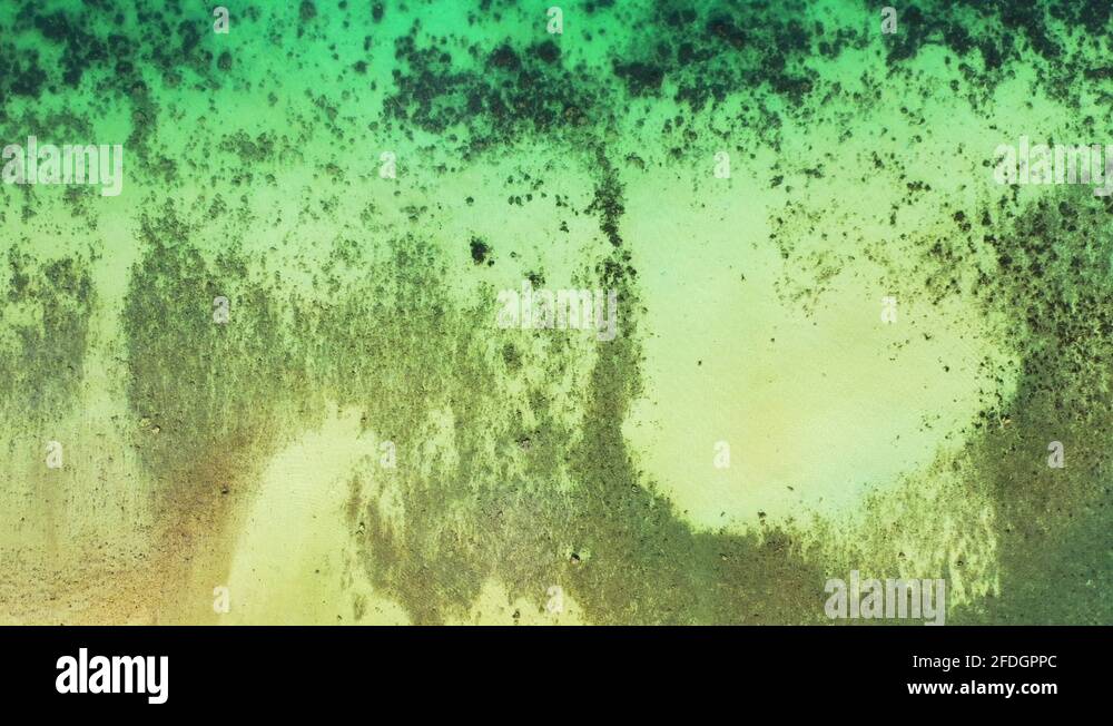 Shoreline texture with colorful patterns of coral reefs and pebbles ...