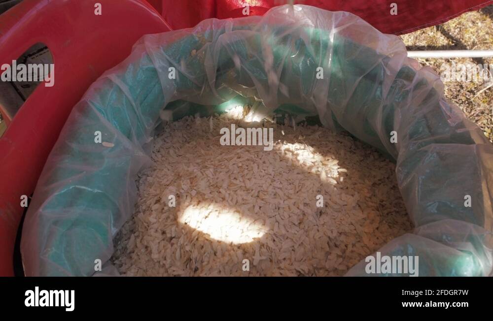 Basmati rice bag Stock Videos & Footage - HD and 4K Video Clips - Alamy