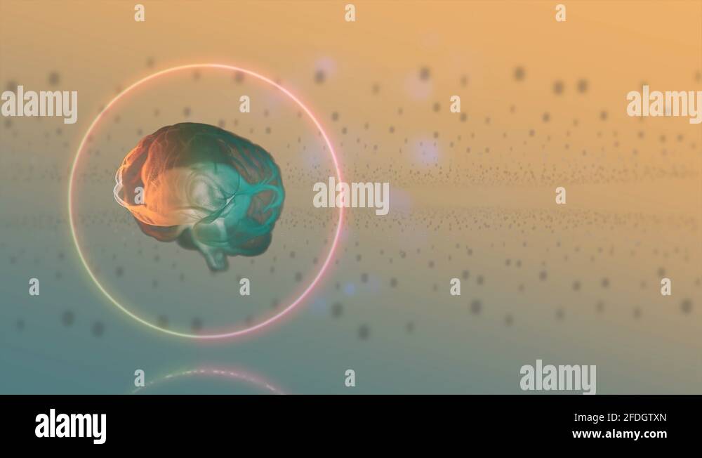 Brain processing information Stock Videos & Footage - HD and 4K Video ...