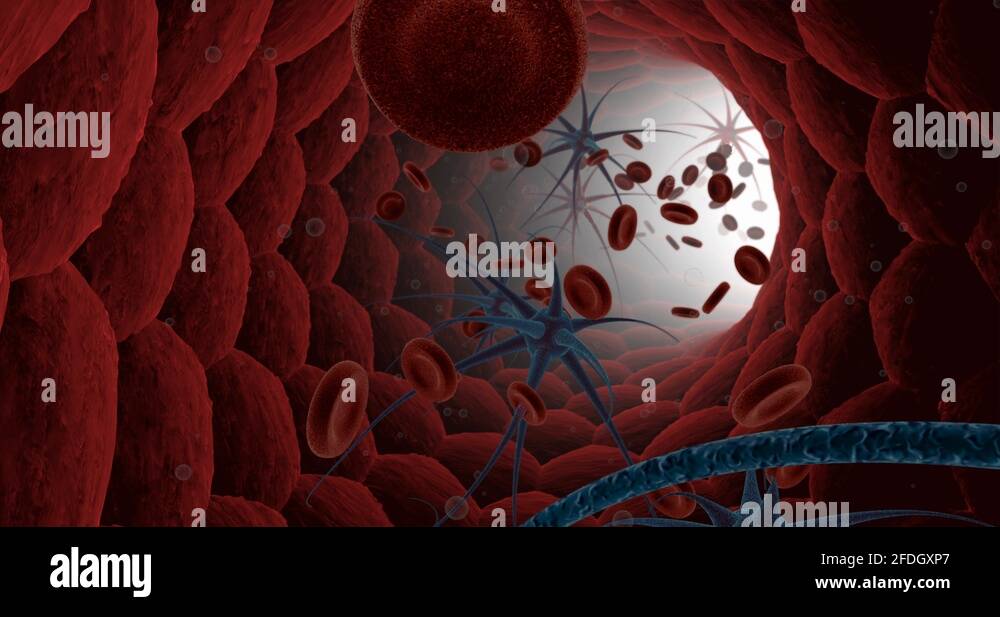 Bacterial virology Stock Videos & Footage - HD and 4K Video Clips - Alamy