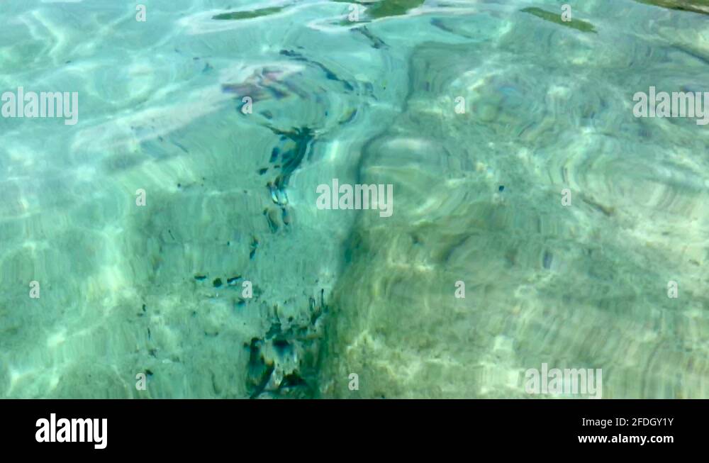 Black sea shells on sea floor with rippling clear water in 4k Stock ...