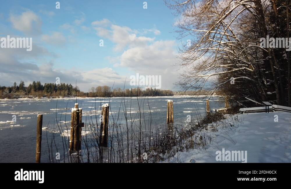 River maple Stock Videos & Footage - HD and 4K Video Clips - Alamy