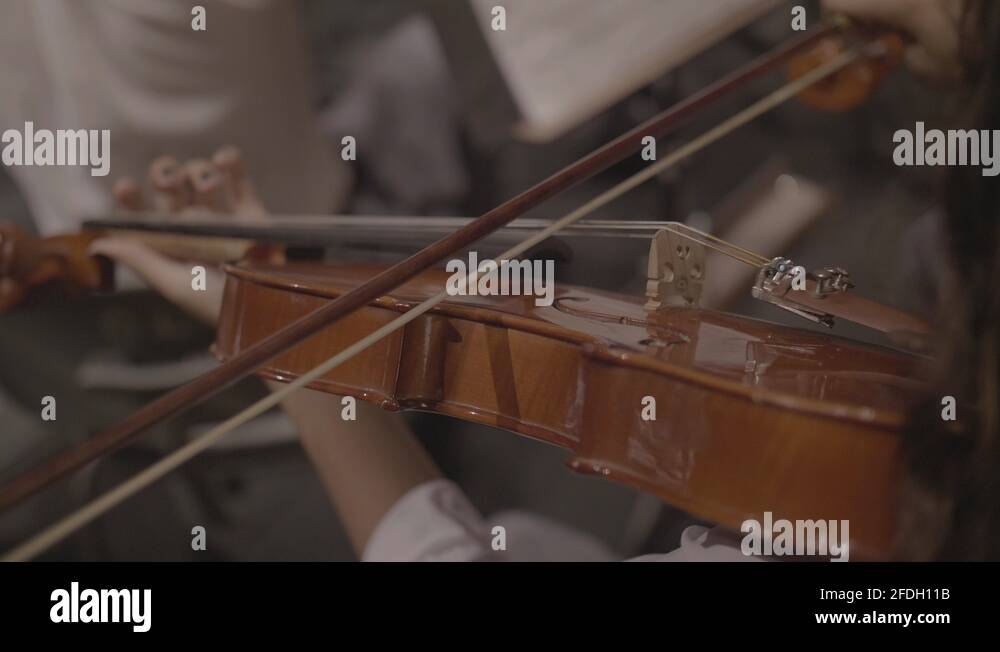 Of a orchestra Stock Videos & Footage - HD and 4K Video Clips - Alamy