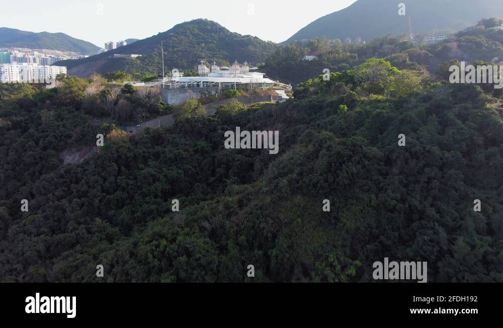 Lei display Stock Videos & Footage - HD and 4K Video Clips - Alamy