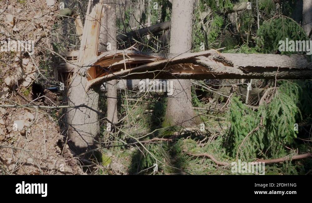 Going commando Stock Videos & Footage - HD and 4K Video Clips - Alamy