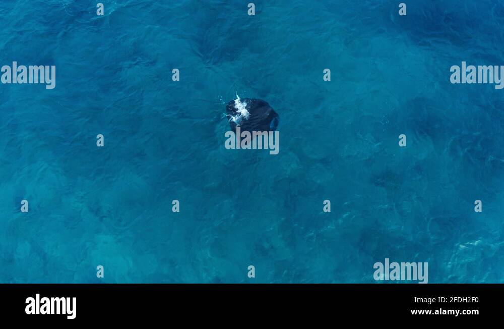 Blue ray protect Stock Videos & Footage - HD and 4K Video Clips - Alamy