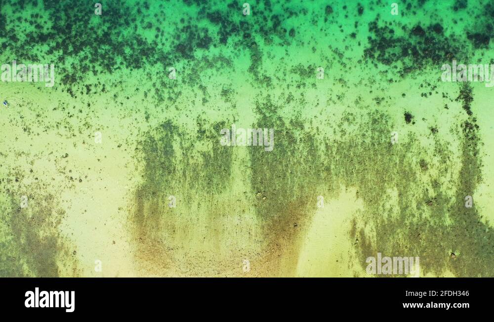 Bottom pattern texture Stock Videos & Footage - HD and 4K Video Clips ...