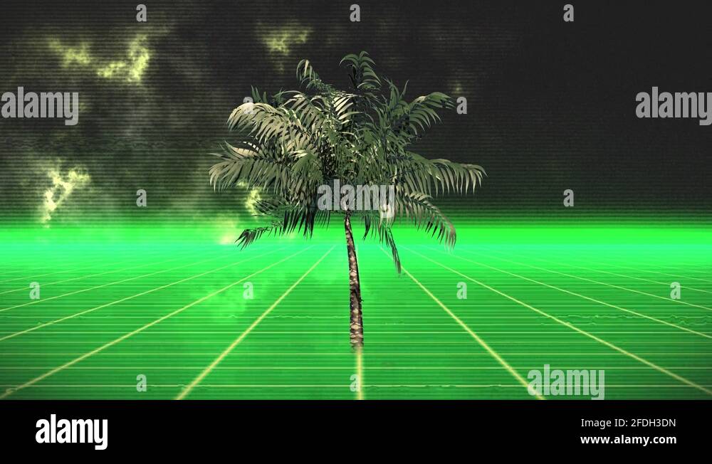 Palm tree animation green screen Stock Videos & Footage - HD and 4K ...