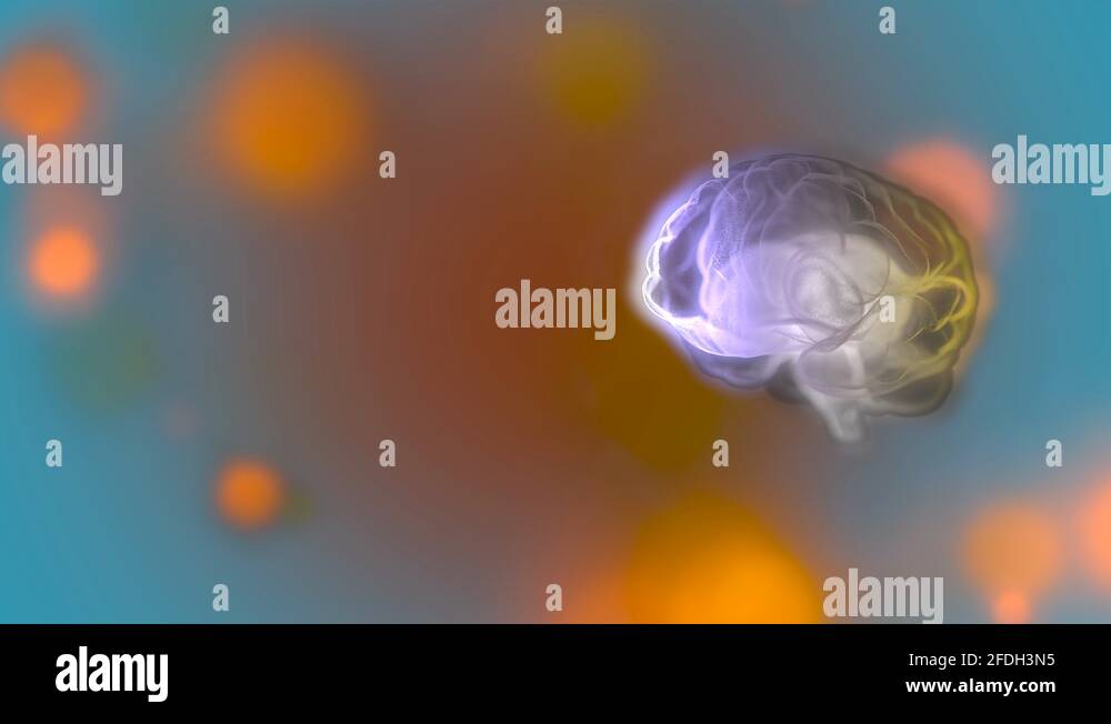 High-functioning brain processing information inside a transparent ...