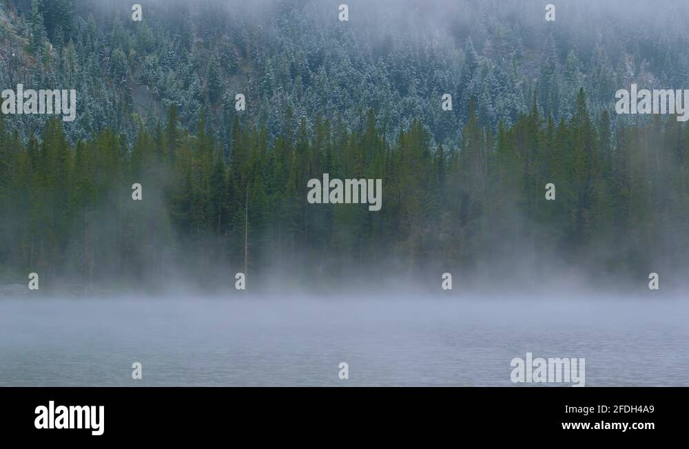 Steam Fog Coming Out On The Lake With A Backdrop Of Green Forest In ...