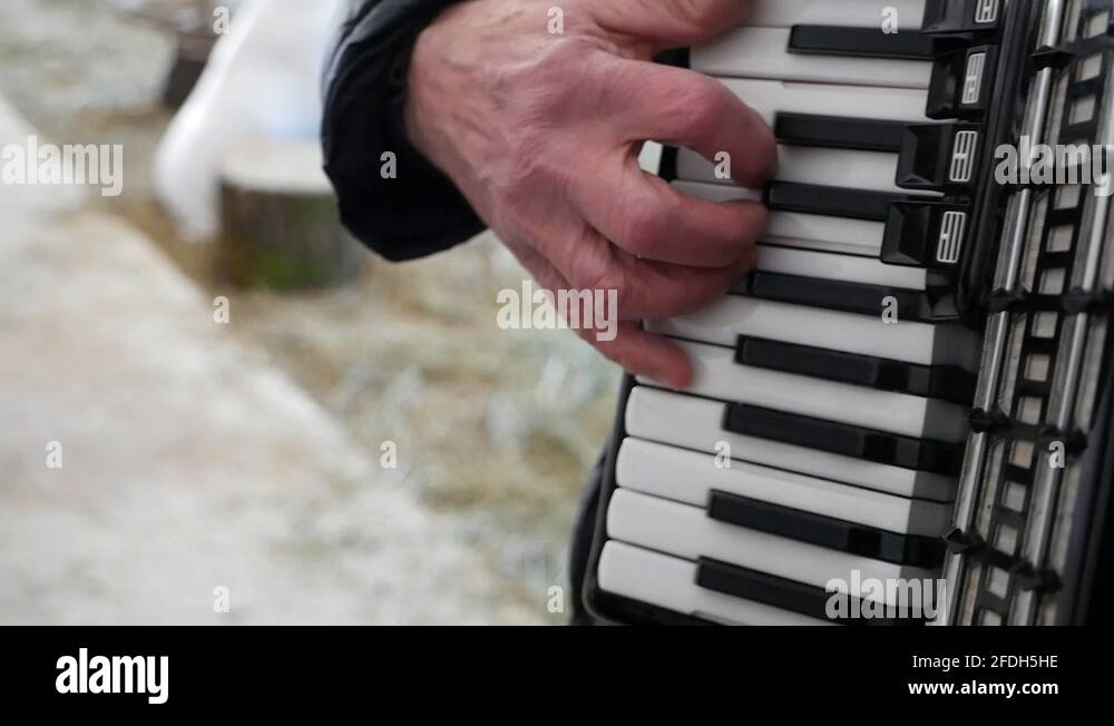 Accordion keys isolated Stock Videos & Footage - HD and 4K Video Clips ...