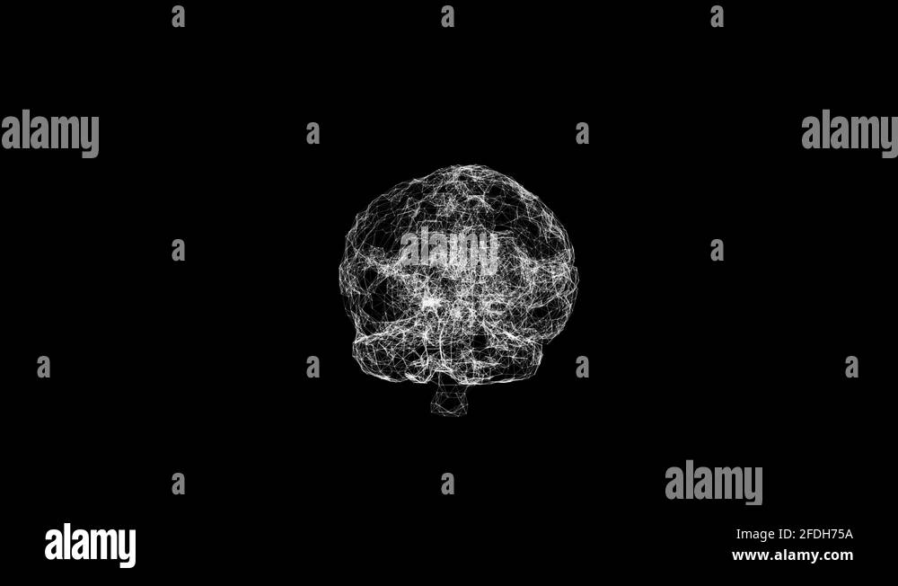 Animated 3d model of human brain rotating over black background and pulsing Stock Video Footage ...