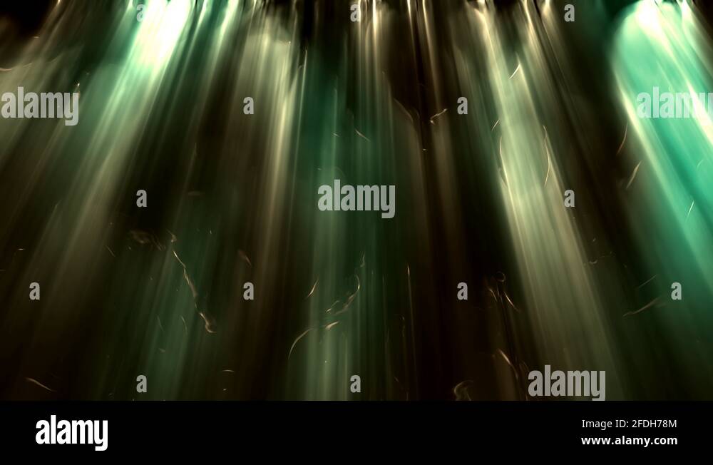 Soft brown scale Stock Videos & Footage - HD and 4K Video Clips - Alamy