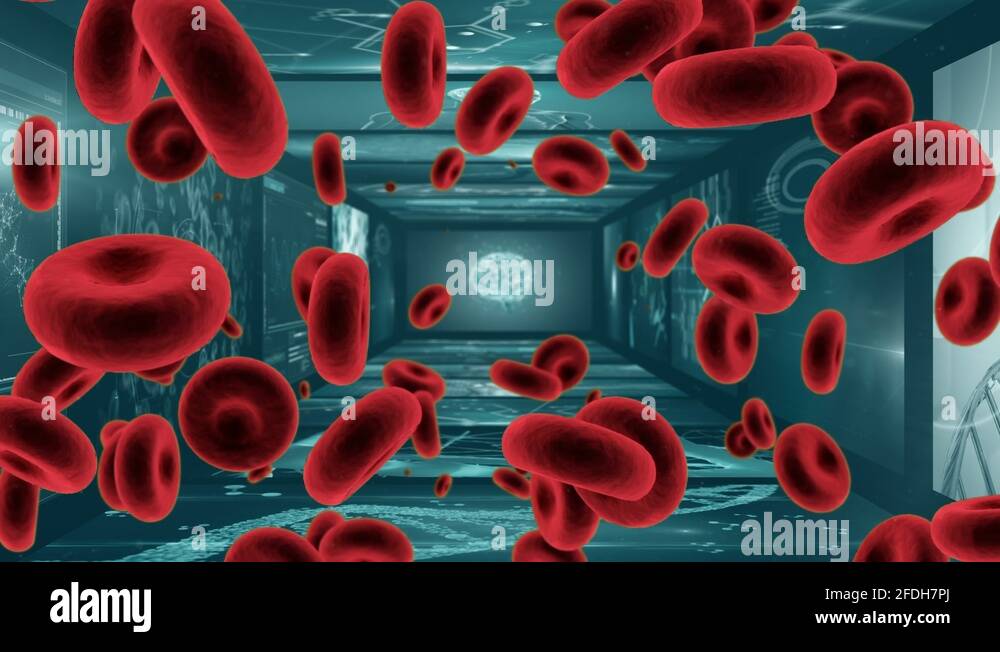 3d red blood cells Stock Videos & Footage - HD and 4K Video Clips - Alamy