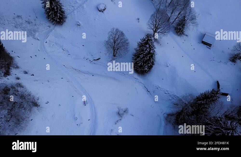 Birds of alps Stock Videos & Footage - HD and 4K Video Clips - Alamy