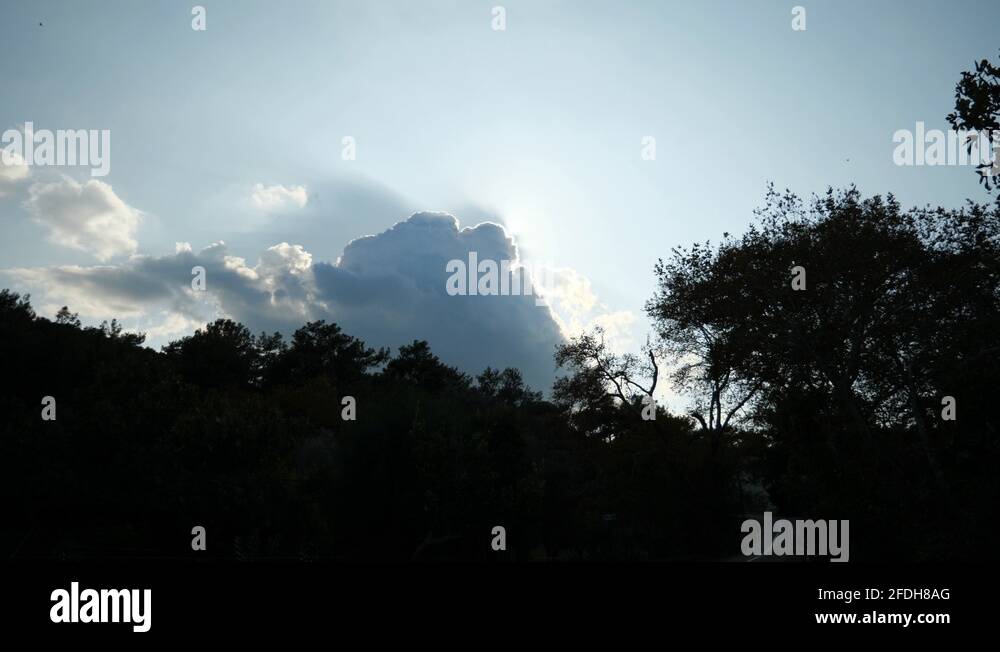 Sun lighting Stock Videos & Footage - HD and 4K Video Clips - Alamy