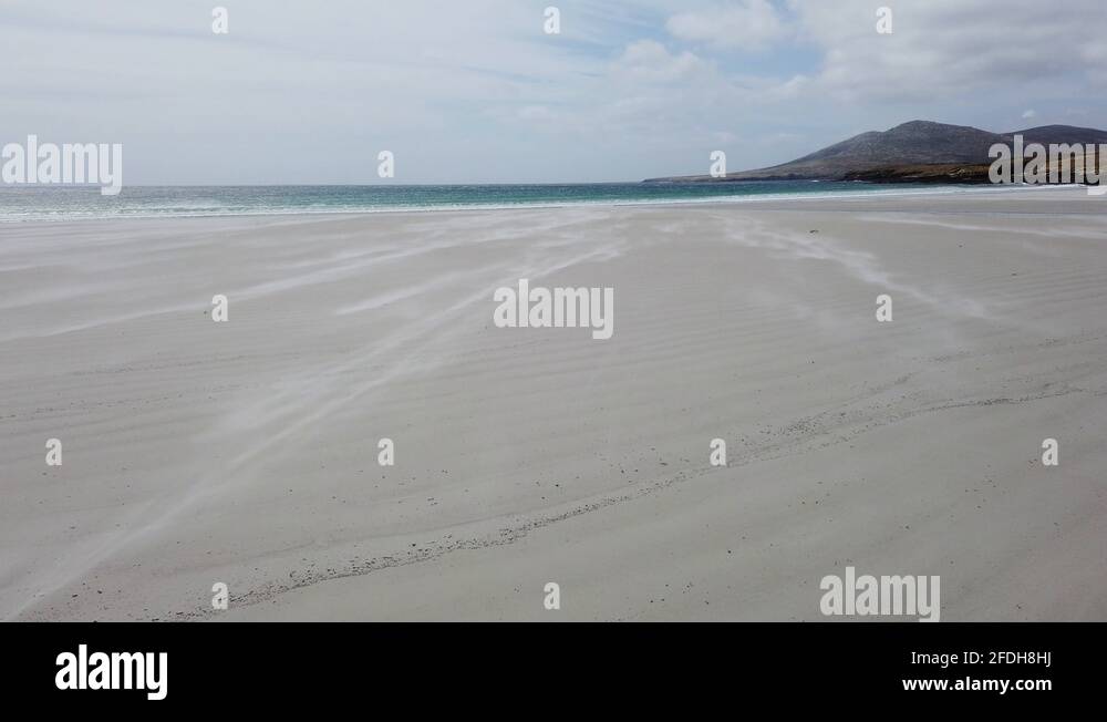 Falklands island Stock Videos & Footage - HD and 4K Video Clips - Alamy