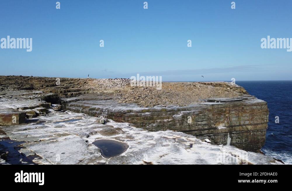 Falklands landscape Stock Videos & Footage - HD and 4K Video Clips - Alamy