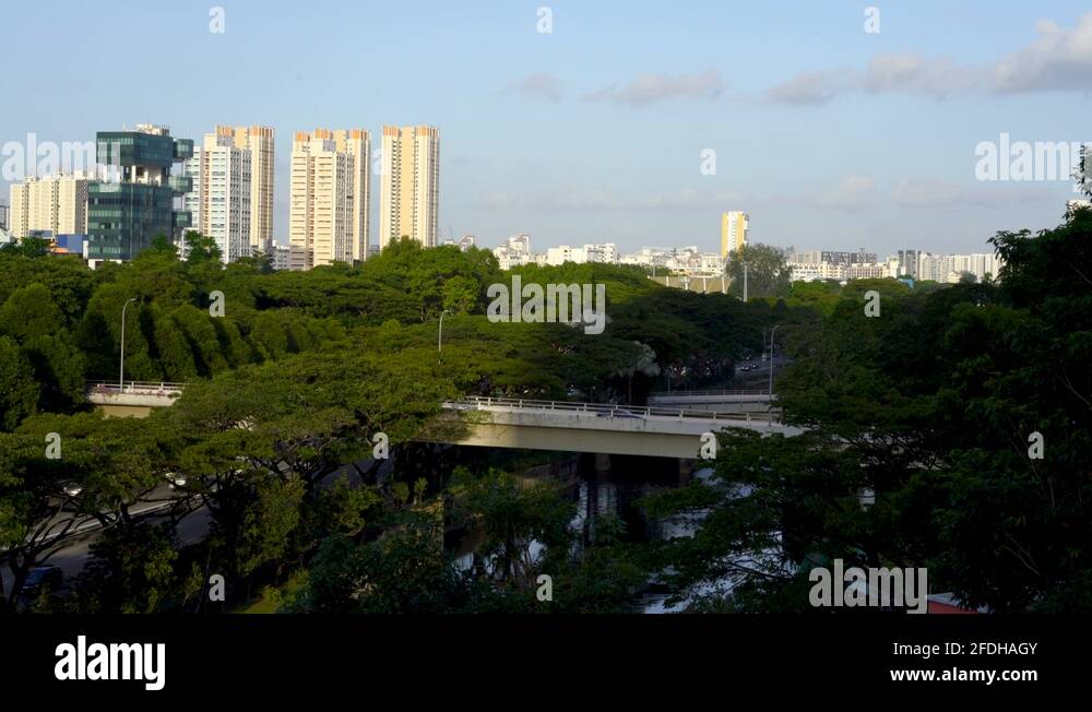 Toa river Stock Videos & Footage - HD and 4K Video Clips - Alamy