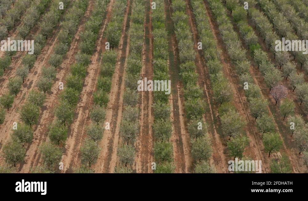 Cultivation europe Stock Videos & Footage - HD and 4K Video Clips - Alamy