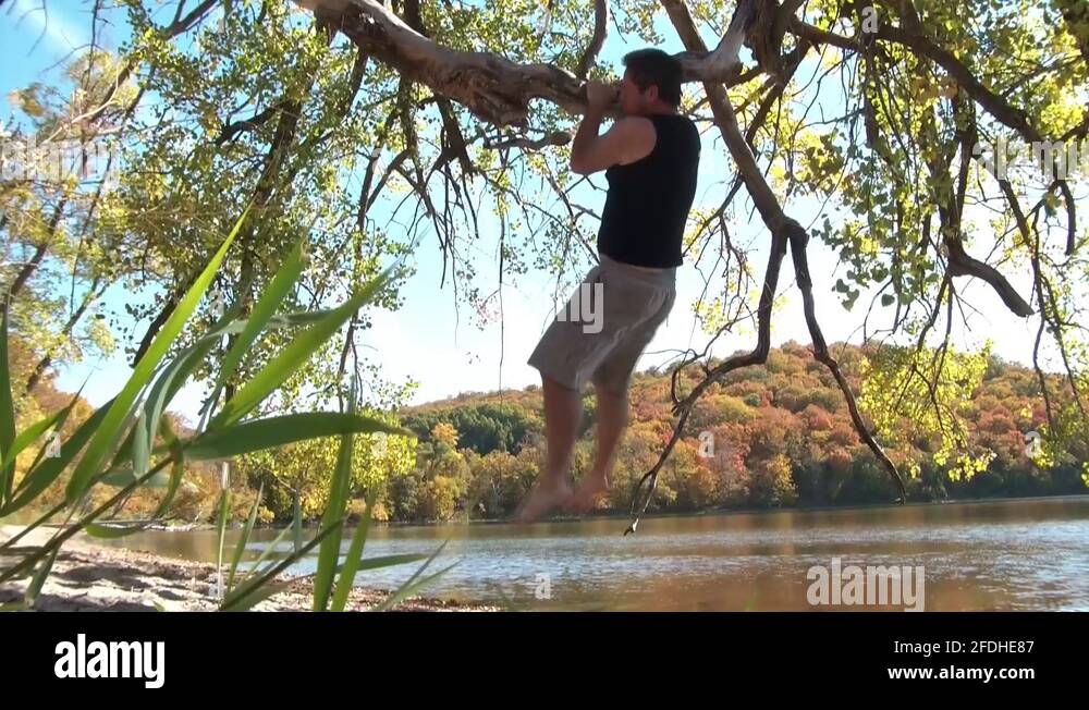 Pull ups tree Stock Videos & Footage - HD and 4K Video Clips - Alamy